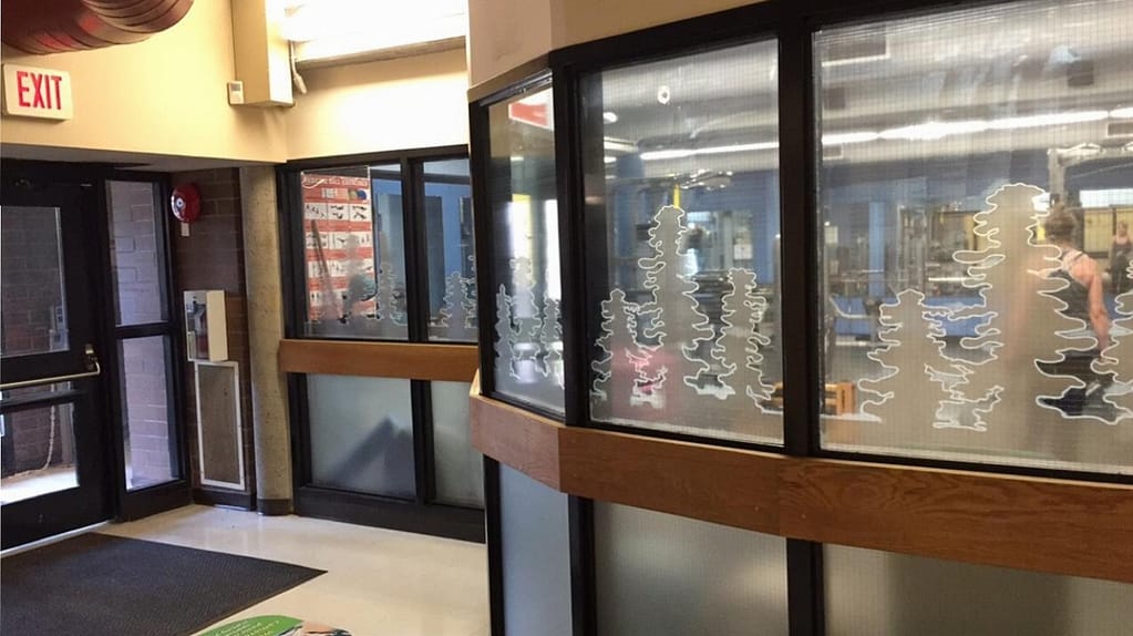 Home - Extreme Window Solutions